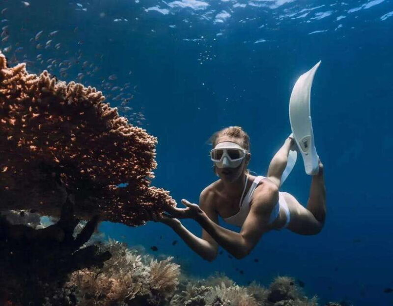 Bali/Amed: Underwater Temple Snorkeling Experience - Key Points