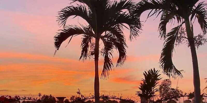 Bali: Aqua Healing Lovina Unique Body Experience - Key Points