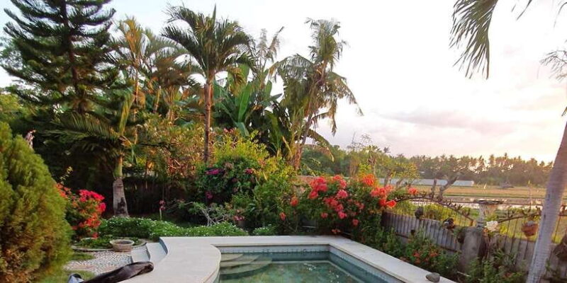 Bali: Aqua Healing Lovina Unique Body Experience - The Benefits for Travelers