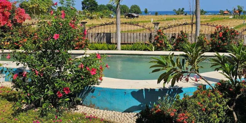 Bali: Aqua Healing Lovina Unique Body Experience - The Sum Up