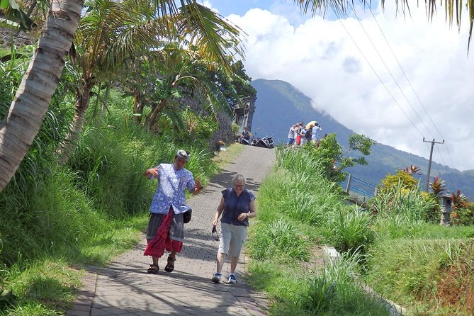 Bali as You Wish Tour guided by AGUS - Authentic, Family-Friendly, and Eco-Conscious