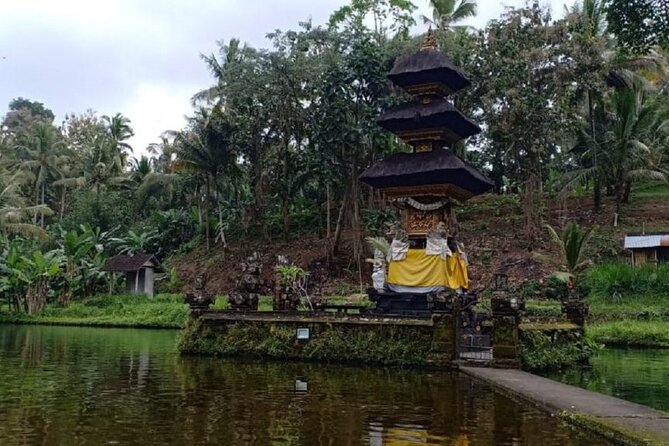 Bali ATV Combined with Mumbul Lake And Sangeh Monkey Forest - Quality of Guides and Local Knowledge