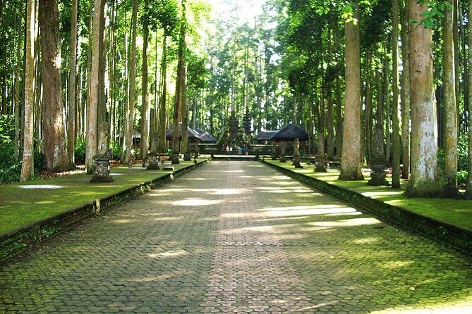 Bali ATV Combined with Mumbul Lake And Sangeh Monkey Forest - Food and Breaks