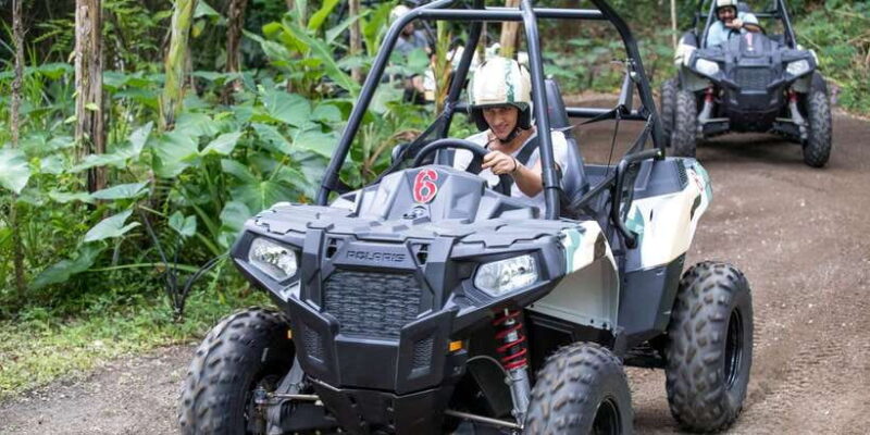 Bali: ATV Mason Jungle Buggy Adventure with Lunch & Transfer - Who Would Love This Tour?