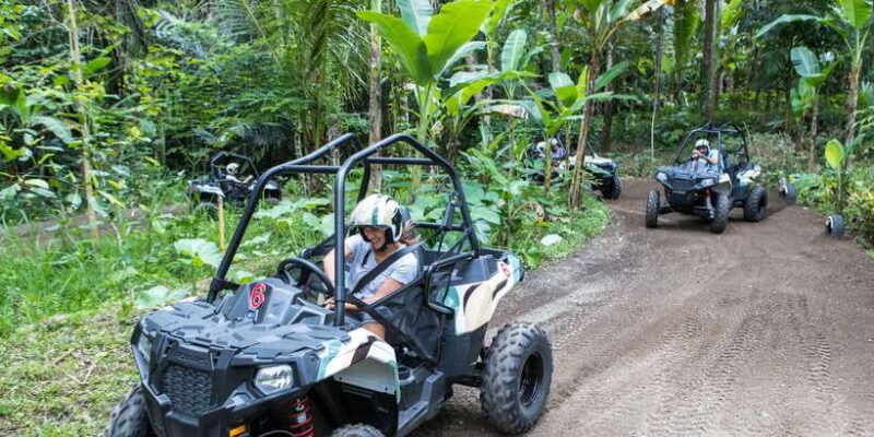 Bali: ATV Mason Jungle Buggy Adventure with Lunch & Transfer - Final Thoughts
