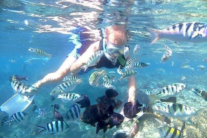 Bali ATV Quad Bike Adventure and Snorkeling Tour - Final thoughts: Who is this tour for?