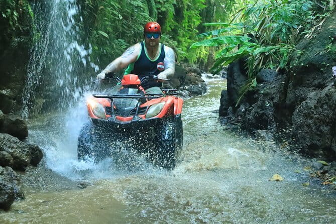 Bali ATV Quad Bike Adventure, Ubud Swing & Monkey Forest - Who Will Love This Tour?