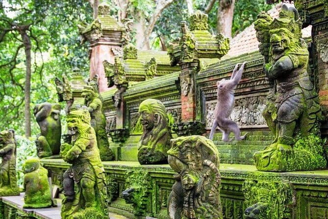 Bali ATV Quad Bike Adventure, Ubud Swing & Monkey Forest - The Sum Up