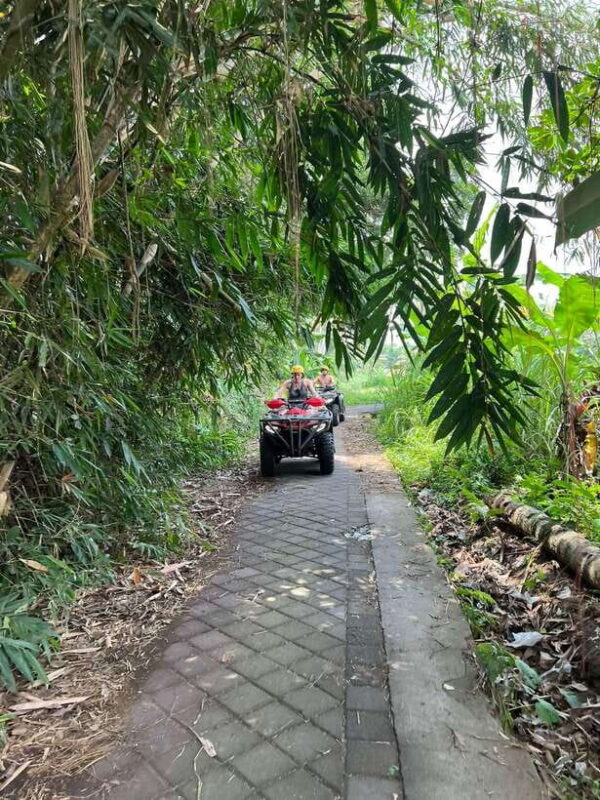 Bali: ATV Quad Bike Adventure with Hotel Transfer - What Travelers Say