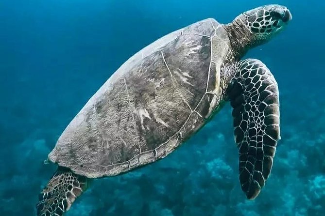 Bali ATV Quad Bike and Snorkeling at Blue Lagoon Tanjung Jepun Combination Tour - How This Tour Compares to Other Activities