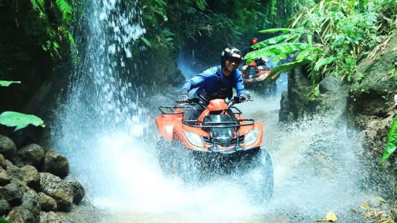 Bali: ATV Quad Bike, Monkey Forest, Jungle Swing with Lunch - An In-Depth Look at the Tour
