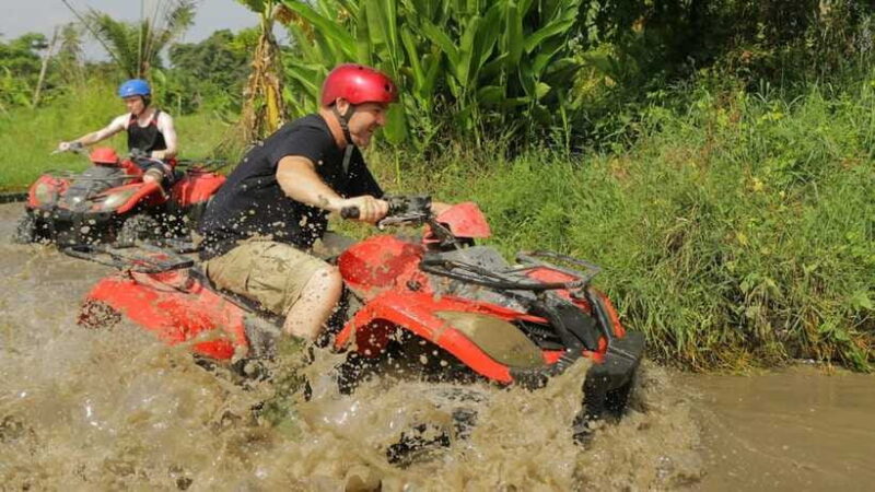 Bali: ATV Quad Bike, Monkey Forest, Jungle Swing with Lunch - Who Will Love This Tour?