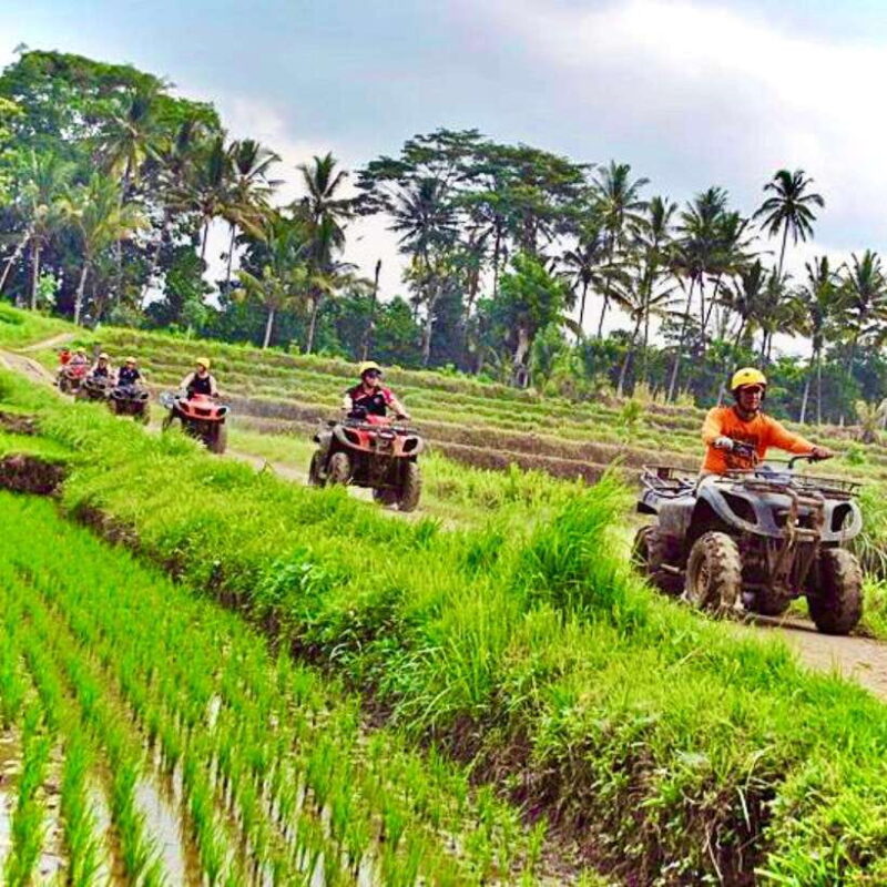 Bali: ATV Quad Biking and Water Rafting Adventure Tour - Key Points