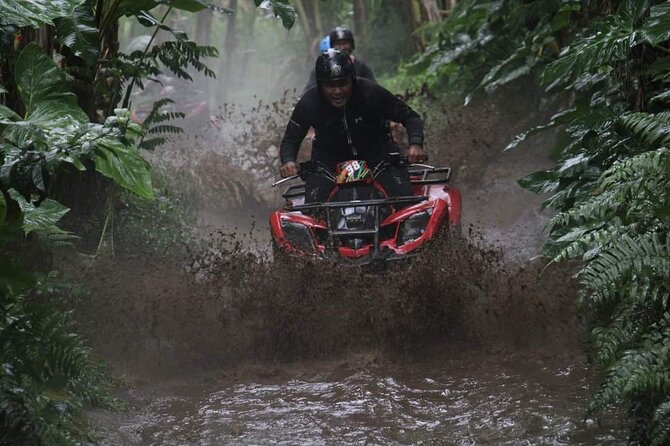 Bali ATV Quadbike Through Gorilla Face Cave - The Itinerary Breakdown
