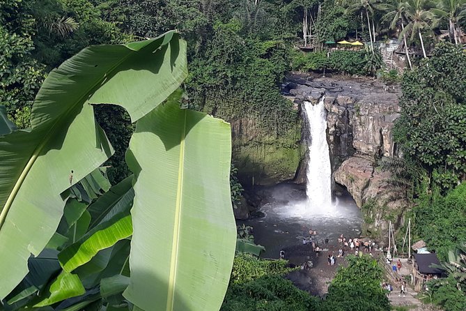 Bali ATV Rafting And Ubud Waterfall Private Tour - The Sum Up