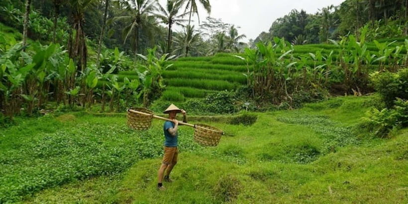 Bali: ATV Rafting Zipline Swing &Sky Bike in Ubud Rice Field - Practical Details and What to Keep in Mind