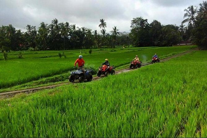 Bali ATV Ride Tour In Ubud Include Transport - FAQ