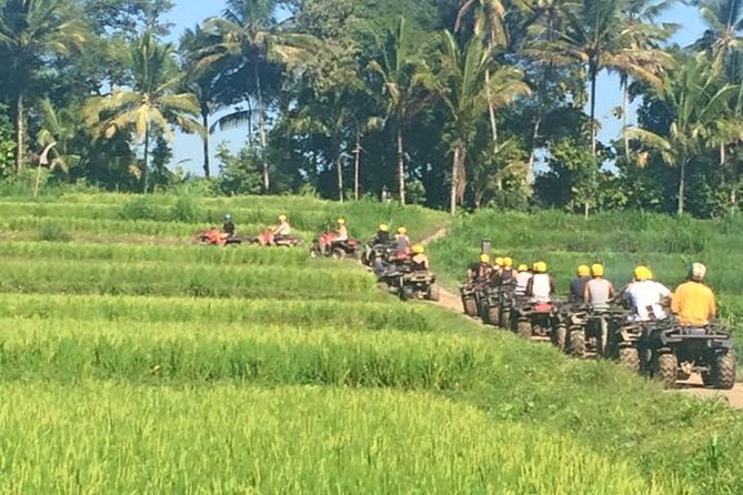 Bali ATV Ride Ubud Jungle Track - Who Should Consider This Tour?