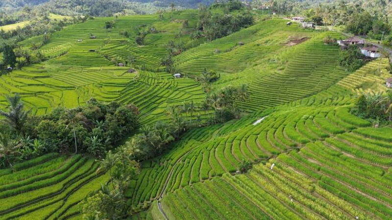 Bali : Authentic Balinese Local Life Tour - FAQs