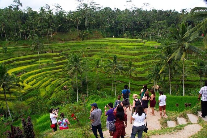 Bali Ayung River Rafting and Kintamani Volcano View Tour - An In-Depth Review of the Bali Ayung River Rafting and Kintamani Tour