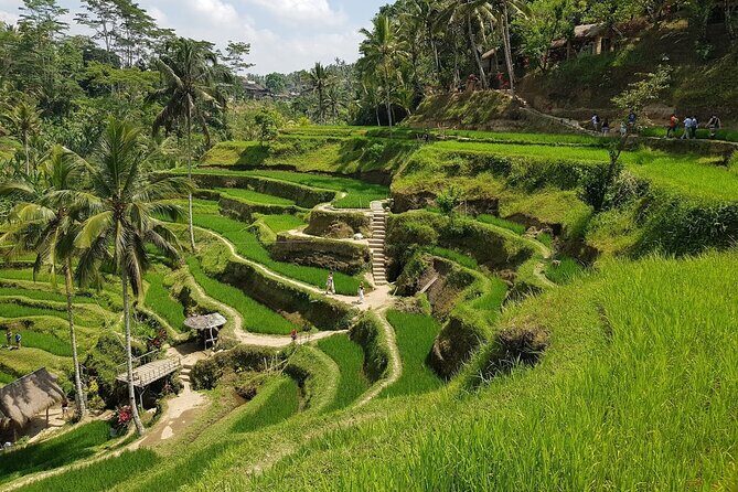 Bali Ayung River Rafting and Kintamani Volcano View Tour - Rice Terraces and Sacred Temples