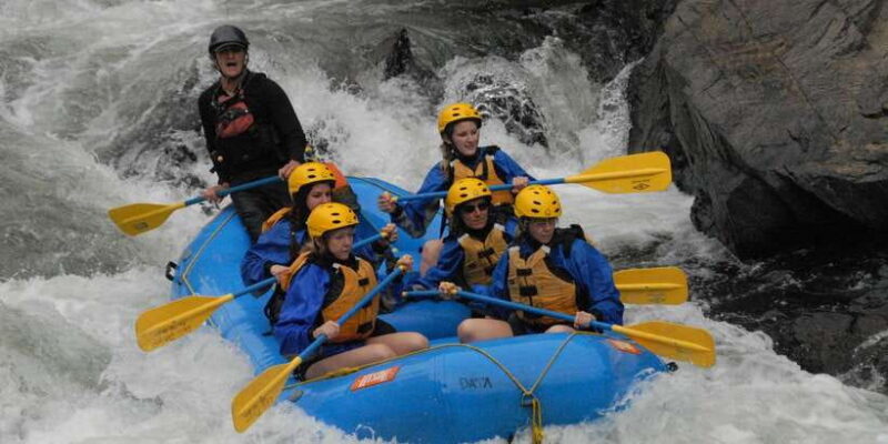 Bali: Ayung River Rafting & Jungle Swing Tour with Transfer - Who Should Consider This Tour?