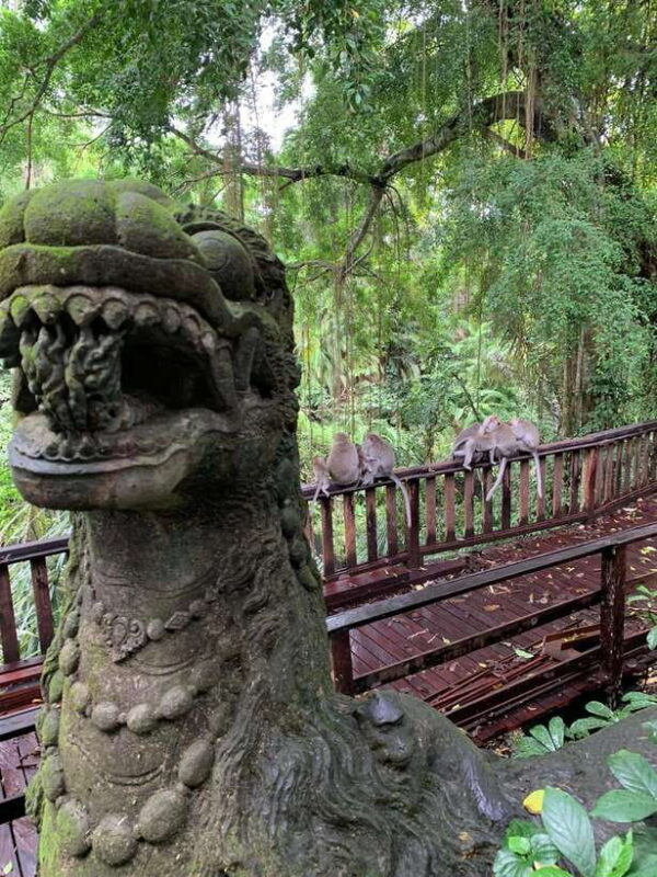 Bali: Ayung River Rafting with Ubud Tour and Lunch - Who Should Consider This Tour?