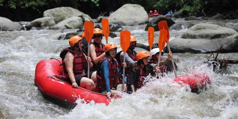 Bali: Ayung River White Water Rafting Adventure - The Itinerary in Detail