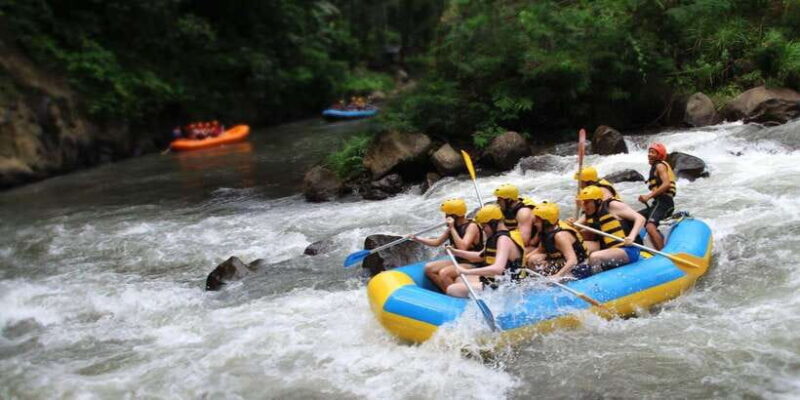 Bali: Ayung River White Water Rafting Adventure - What Makes This Tour Special?