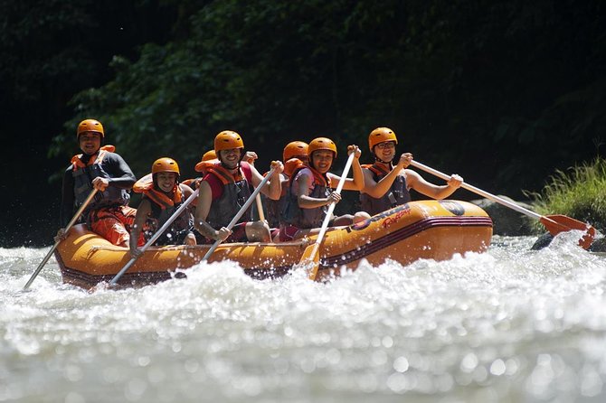 Bali Ayung River White Water Rafting with Transport - Who Should Consider This Tour?