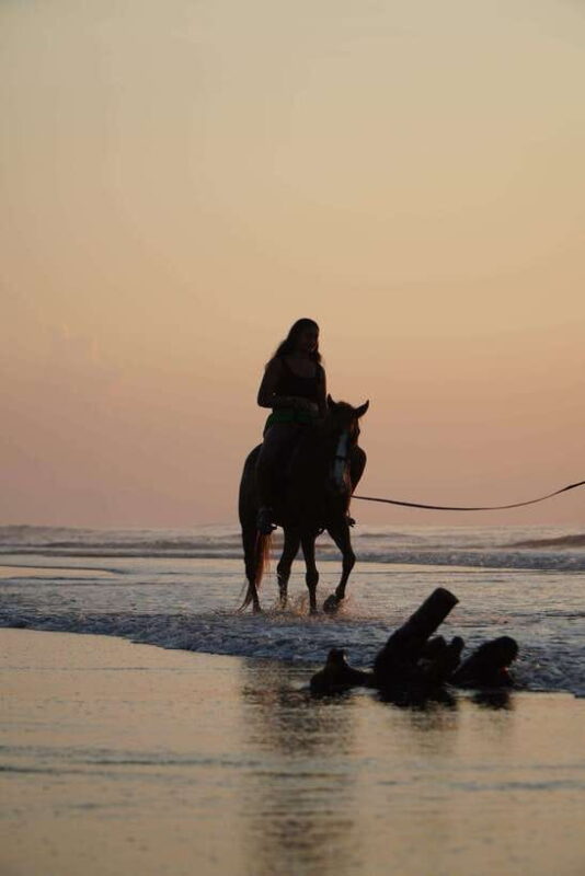 Bali: Bali Beach Horse Riding Experience - Key Points