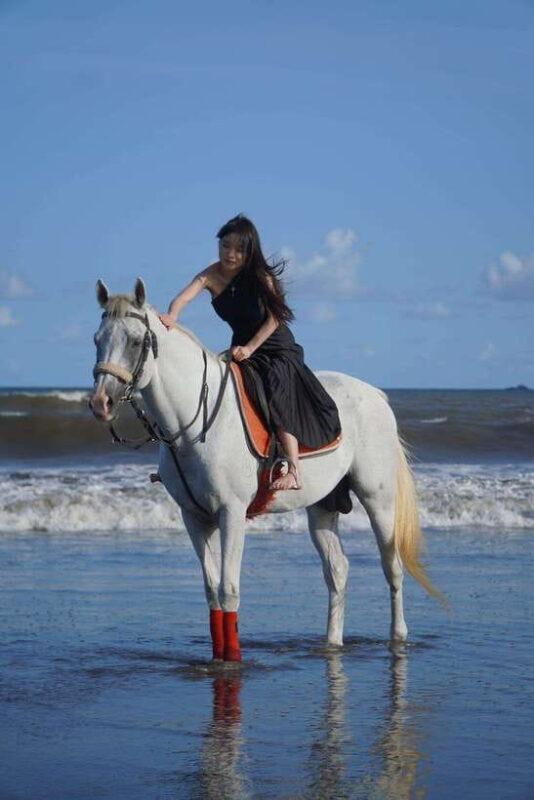 Bali: Bali Beach Horse Riding Experience - Who Should Consider This Experience?