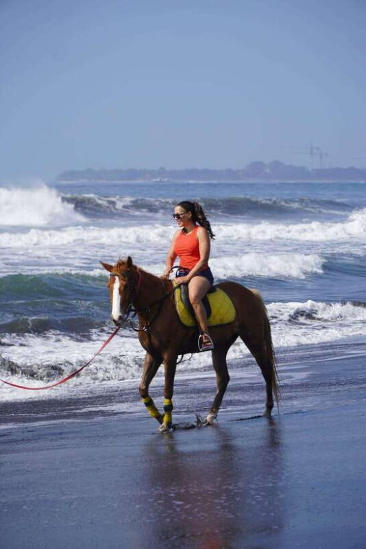 Bali: Bali Beach Horse Riding Experience - The Sum Up