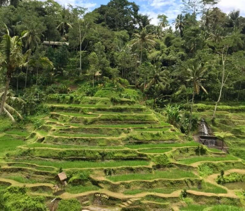 Bali: Bali Insta Journey Private Tour (All-Inclusive) - FAQs