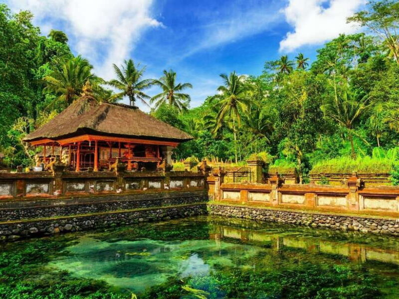 Bali: Balinese Spiritual Journey with purification ceremony. - Introduction