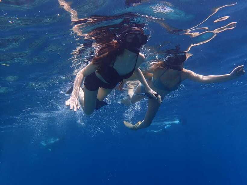 Bali: Basic Snorkeling at Menjangan Island - Who Is This Tour Best For?