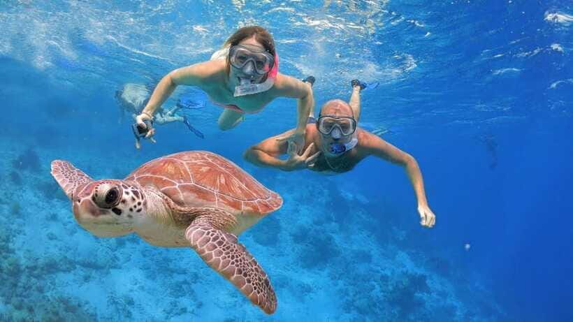 Bali: Basic Snorkeling at Menjangan Island - The Sum Up