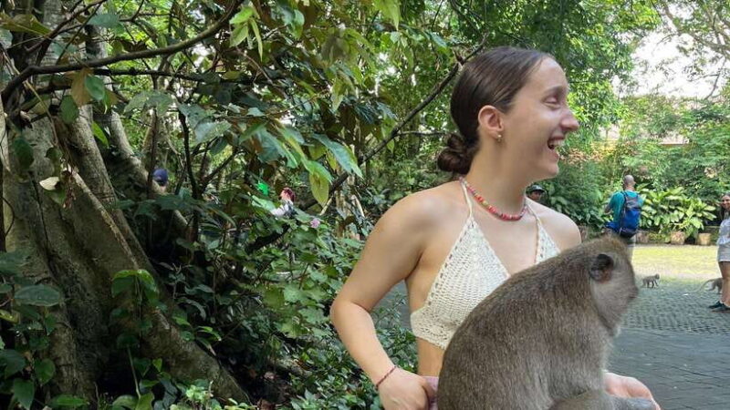 Bali: Batuan temple, Monkey Forest, Kato Lampo waterfall - Wrapping It Up