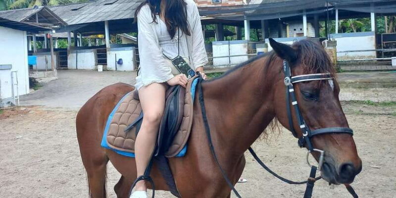 Bali : Beach Horse Riding Experience & Hidden Waterfall - Introduction