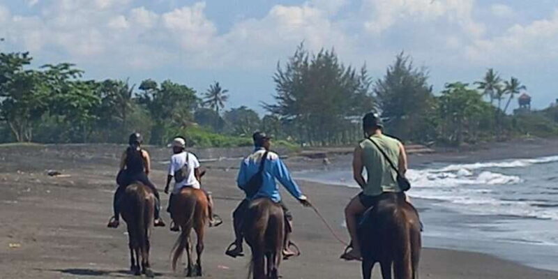 Bali : Beach Horse Riding Experience & Hidden Waterfall - An Authentic Bali Coastal Ride