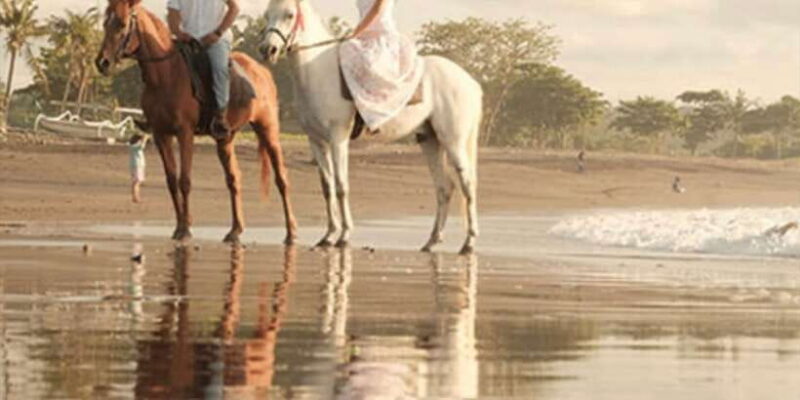 Bali: Beach horse riding - Who Would Love This Tour?