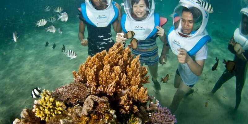 Bali Benoa: Lembongan Reef & Water Activities Day Cruise - Lunch and Refreshments