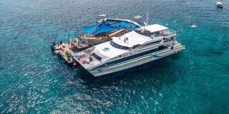 Bali Benoa: Lembongan Reef & Water Activities Day Cruise - Who Will Love This Tour?