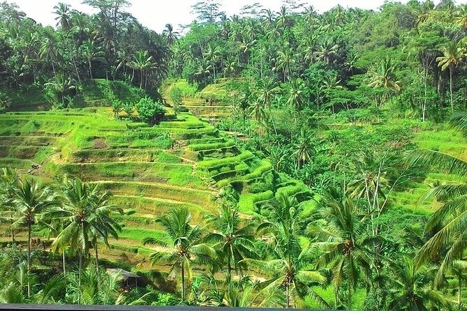 Bali Benoa Shore Excursion for cruise's passenger - All Inclusive - Who Is This Tour Best For?