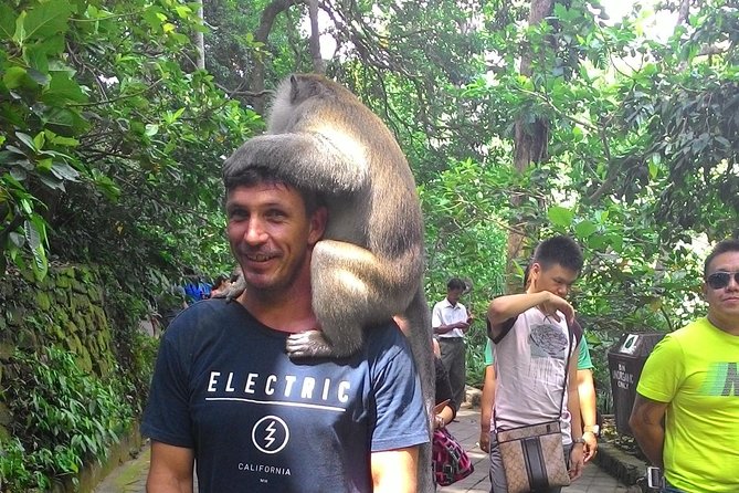 Bali Benoa Shore Excursion for cruise's passenger - All Inclusive - The Sum Up