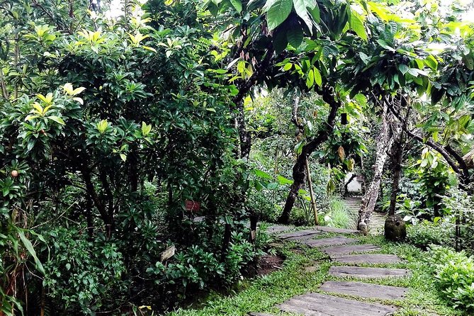 Bali Benoa Shore Excursion for cruise's passenger - All Inclusive - Frequently Asked Questions