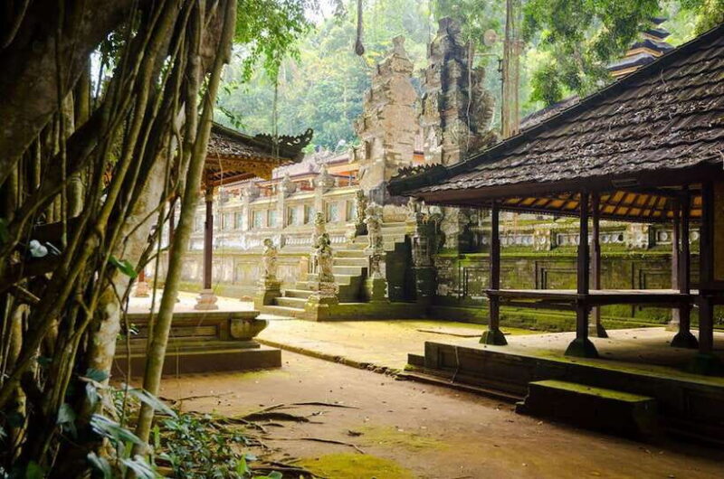 Bali: Besakih Great Temple & Penglipuran Village Day Tour - Who Should Consider This Tour?