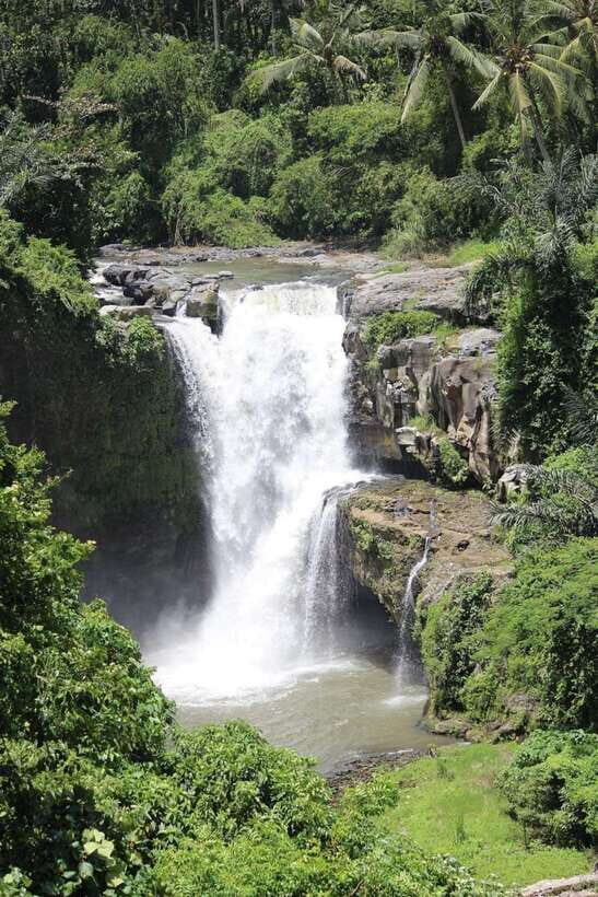 Bali: Best of Ubud Waterfalls Tour - The Sum Up