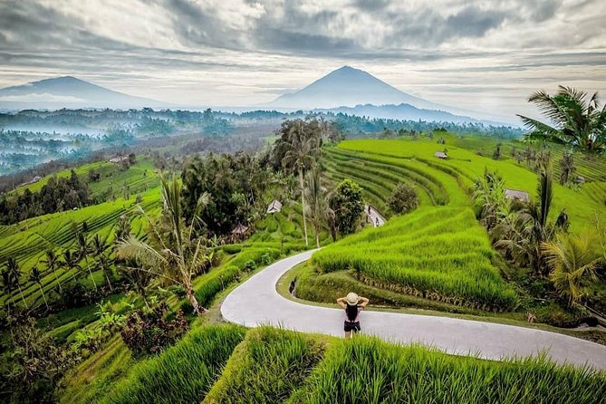 Bali BEST Things to Do Private Full-day Tour from Your Hotel - FAQ