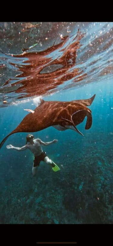 Bali : Best Trip of Nusapenida Island in one day - Key Points